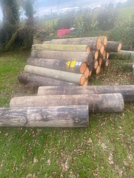 esb poles for sale | 104 All Sections Ads For Sale in Ireland | DoneDeal