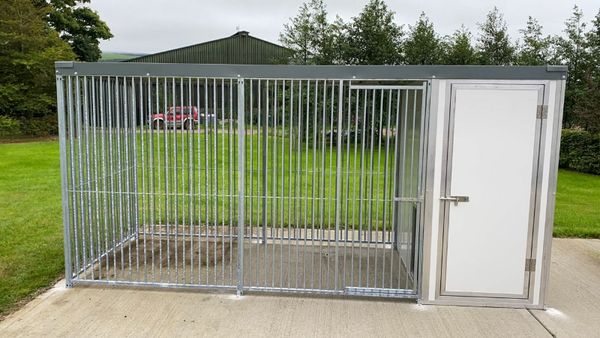 dogs and puppies | 72 All Sections Ads For Sale in Ireland | DoneDeal