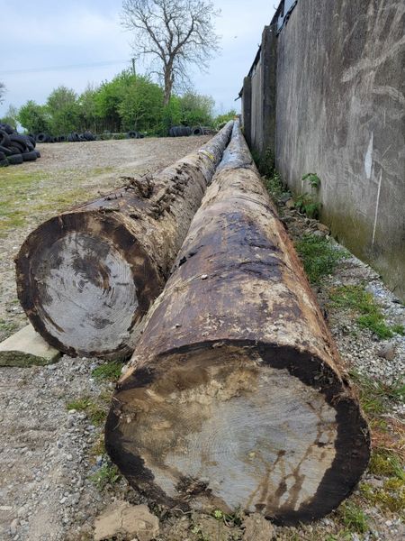 esb pole | 10 All Sections Ads For Sale in Ireland | DoneDeal