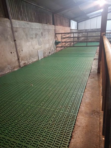 sheep slats | 39 All Sections Ads For Sale in Ireland | DoneDeal