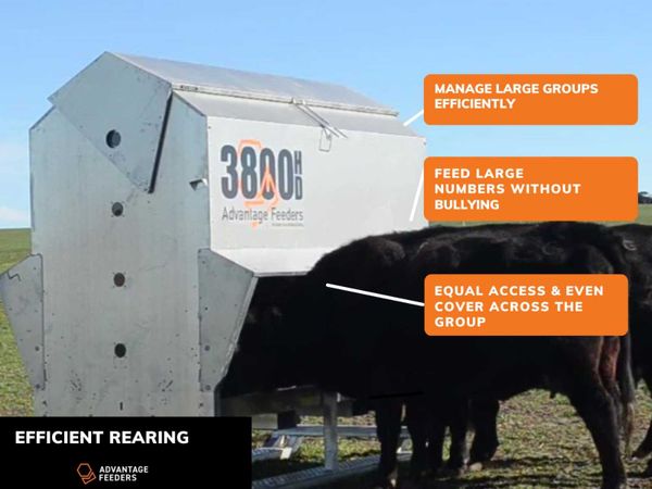 ad lib feeder | 39 All Sections Ads For Sale in Ireland | DoneDeal