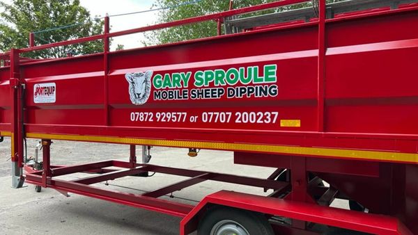 Livestock Ads For Sale in Tyrone | DoneDeal