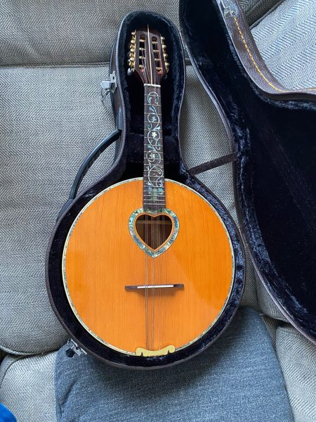 mandolins | 11 Stringed Instruments Ads For Sale in Ireland | DoneDeal