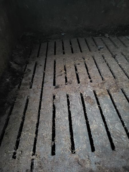 slatted shed for rent | 52 Farming Ads For Sale in Ireland | DoneDeal