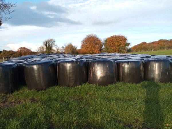 silage for sale | 590 Farming Ads For Sale in Ireland | DoneDeal