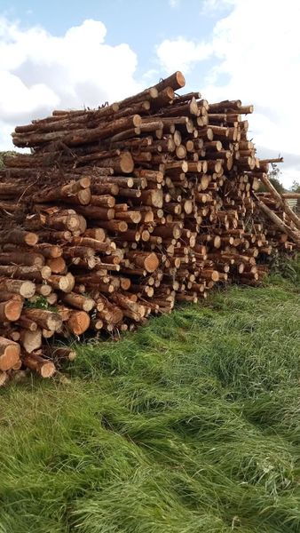 artic load timber | 1 Tractors Ad For Sale in Ireland | DoneDeal