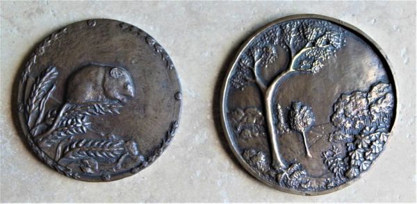 wild goose studio saoirse | 2 All Sections Ads For Sale in Ireland | DoneDeal