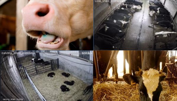 biocell-septic-tank-sewage-treatment-plants Farm Services Ads For Sale ...