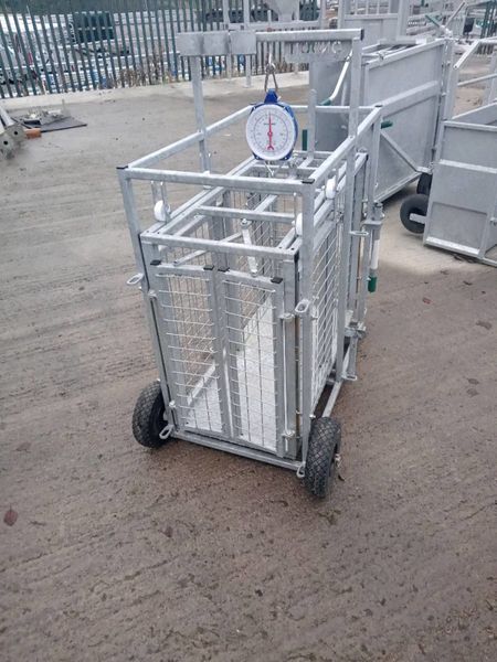 lamb scales | 9 All Sections Ads For Sale in Ireland | DoneDeal