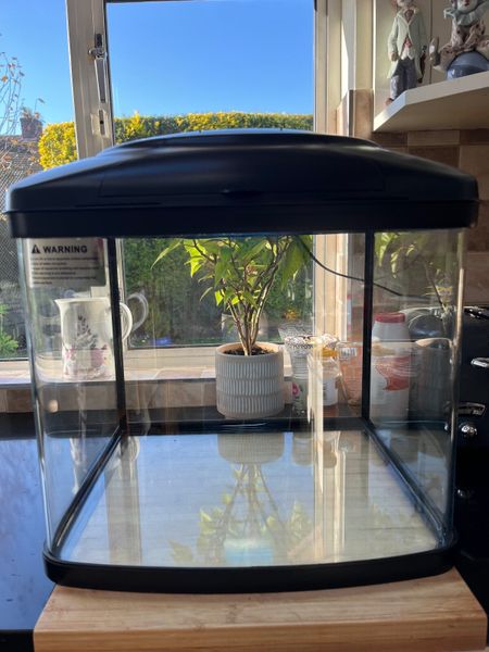 filter box | 2 Fish Ads For Sale in Ireland | DoneDeal
