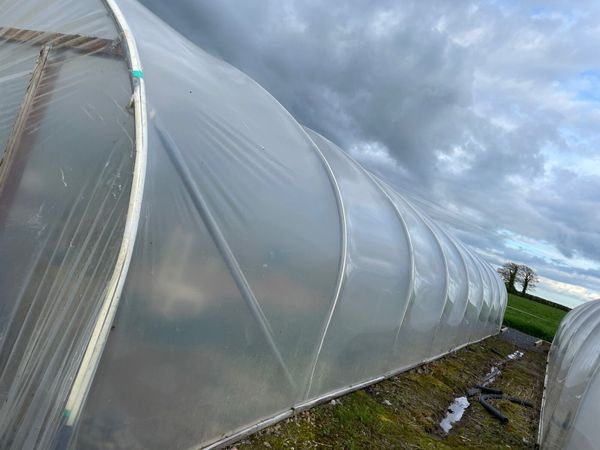 poly tunnel | 27 All Sections Ads For Sale in Ireland | DoneDeal