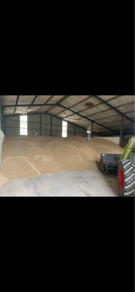 enfield | 2 Bedding & Feed Ads For Sale in Ireland | DoneDeal