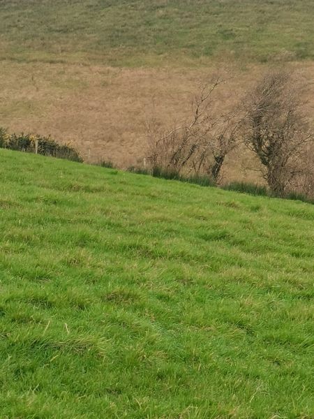 All Sections Ads For Sale in Ulster | DoneDeal