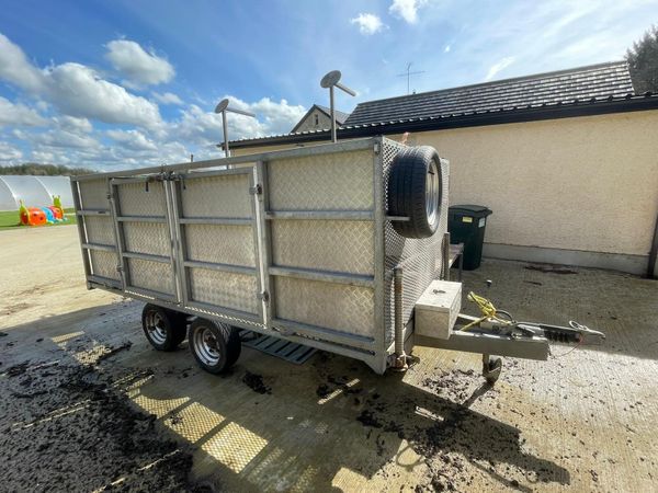 Livestock Ads For Sale in Tyrone | DoneDeal