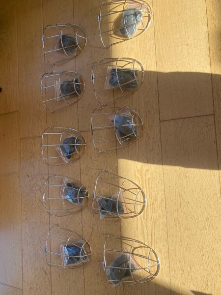 kilkenny guard | 16 All Sections Ads For Sale in Ireland | DoneDeal