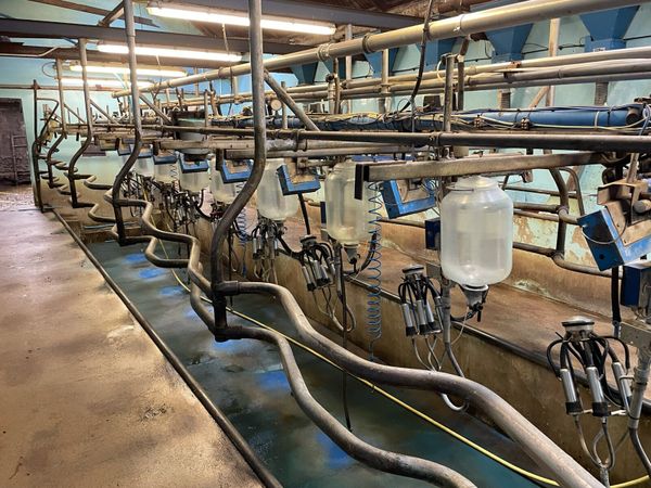 milking parlour | 493 Farming Ads For Sale in Ireland | DoneDeal