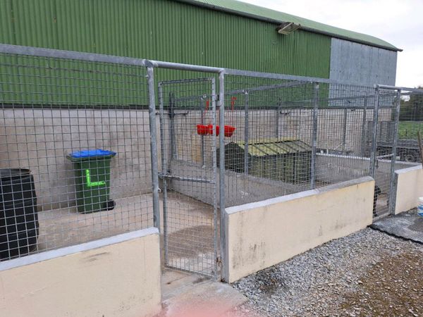 DOGS | 1,055 All Sections Ads For Sale in Ireland | DoneDeal