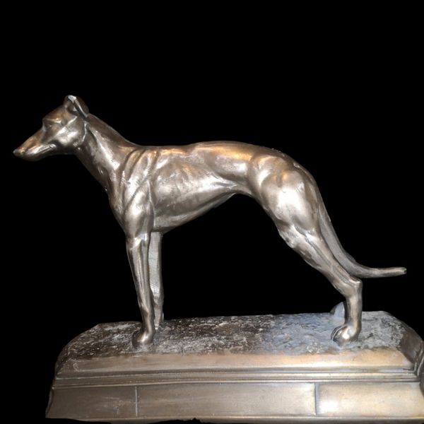 greyhound | 42 All Sections Ads For Sale in Ireland | DoneDeal