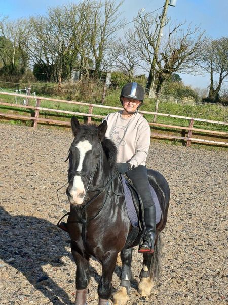 Cobs Ads For Sale in Ireland | DoneDeal