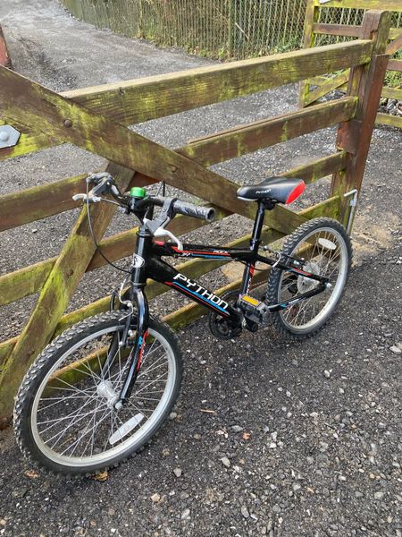 python bike for sale in Co. Kildare for €115 on DoneDeal