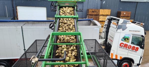 fodder beet chopper for sale | 146 Farming Ads For Sale in Ireland ...