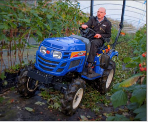 Toppers Ads For Sale in Ireland | DoneDeal