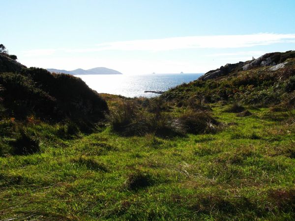 esb poles for sale | 122 All Sections Ads For Sale in Ireland | DoneDeal