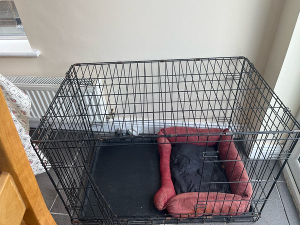 dogs and puppies | 56 All Sections Ads For Sale in Ireland | DoneDeal