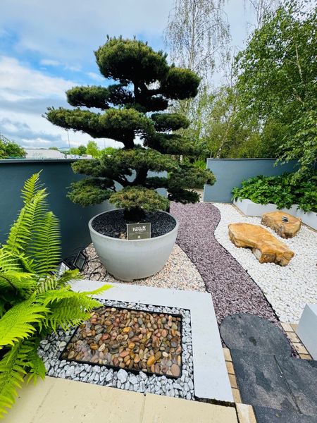 STONE | 3,202 All Sections Ads For Sale in Ireland | DoneDeal