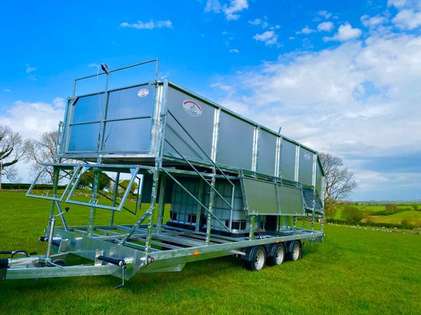 Livestock Ads For Sale in Tyrone | DoneDeal