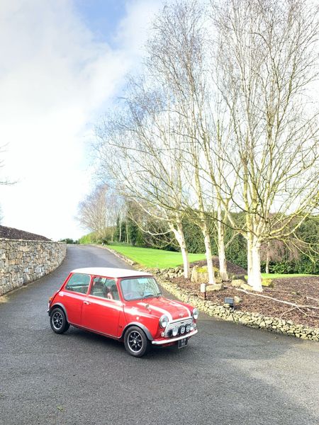 classic mini cooper | 1 Ad in Vintage Cars For Sale in Ireland | DoneDeal