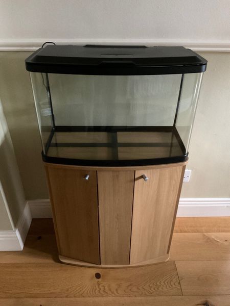 lovely | 7 Fish Ads For Sale in Ireland | DoneDeal