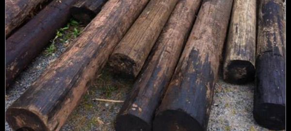 esb poles for sale | 111 All Sections Ads For Sale in Ireland | DoneDeal