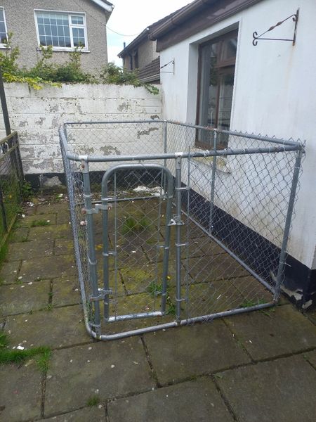 DOGS | 1,052 All Sections Ads For Sale in Ireland | DoneDeal