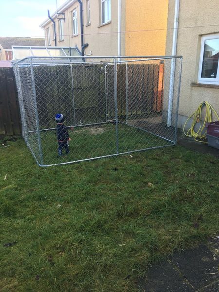 DOGS | 1,137 All Sections Ads For Sale in Ireland | DoneDeal