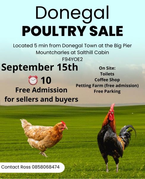 Poultry Ads For Sale in ulster | DoneDeal