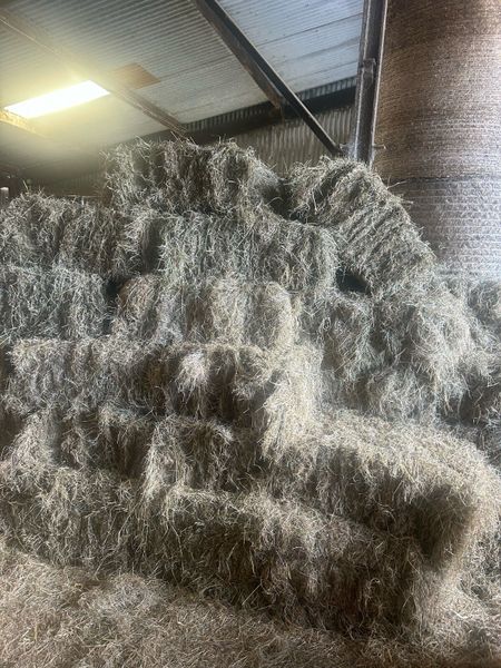 hay bales | 835 All Sections Ads For Sale in Ireland | DoneDeal