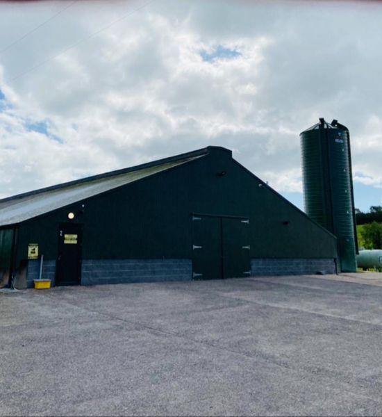 All Sections Ads For Sale in Ulster | DoneDeal