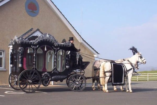 hearse | 15 All Sections Ads For Sale in Ireland | DoneDeal