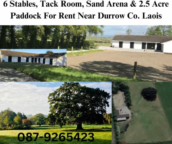 Equine Services Ads For Sale in Ireland | DoneDeal