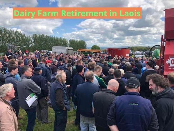 boxing day sales equestrian | 175 Farming Ads For Sale in Ireland ...