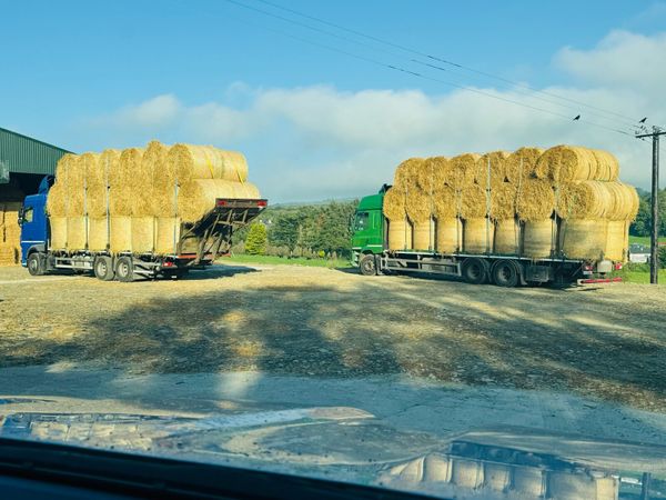 straw kerry | 9 All Sections Ads For Sale in Ireland | DoneDeal