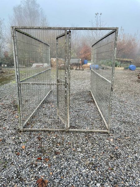 dogs | 406 Animals Ads For Sale in Ireland | DoneDeal