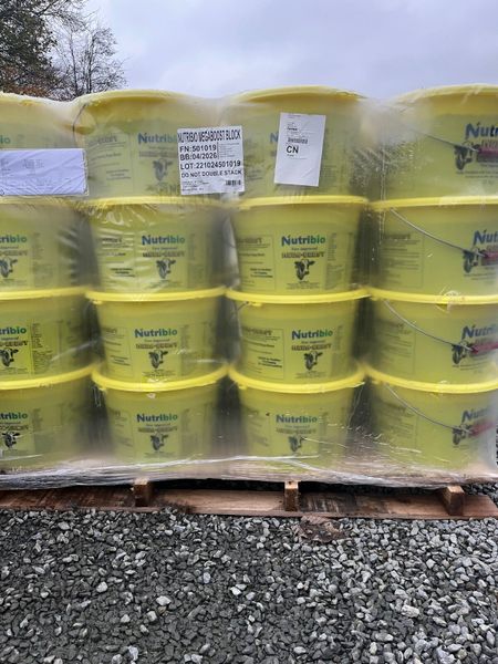 lamb bucket | 27 All Sections Ads For Sale in Ireland | DoneDeal