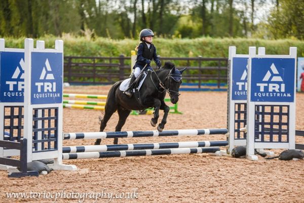 Great | 91 Ponies Ads For Sale in Ireland | DoneDeal