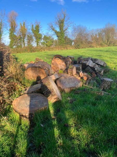 hygienic-pvc-wall-cladding Heating Ads For Sale in Ireland | DoneDeal