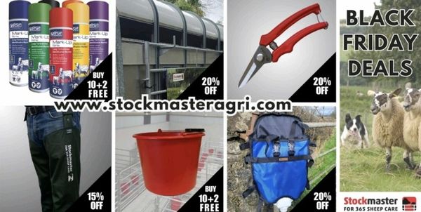 dressing-table Livestock Ads For Sale in Ireland | DoneDeal