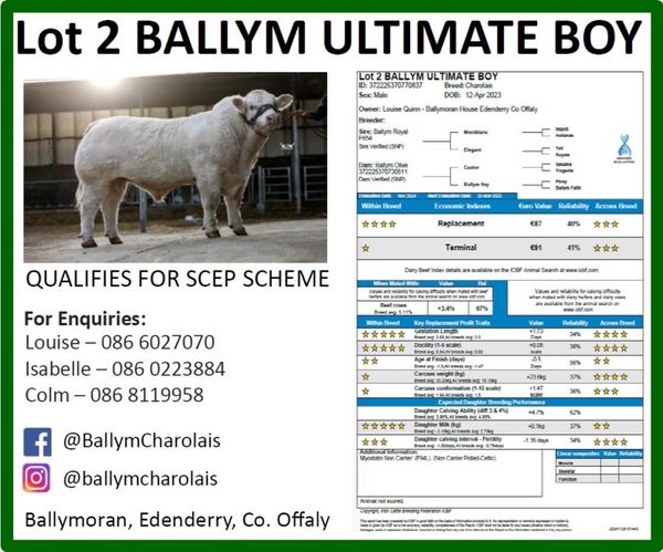 tanco-978-front-end-loader Farming Ads For Sale in Ireland | DoneDeal