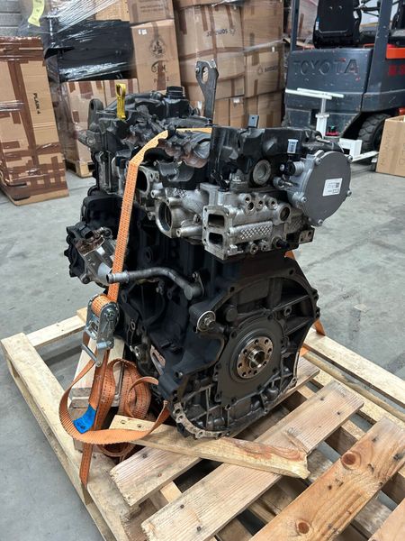 captive-bred-ravens Cars & Motor For Sale in Ireland | DoneDeal