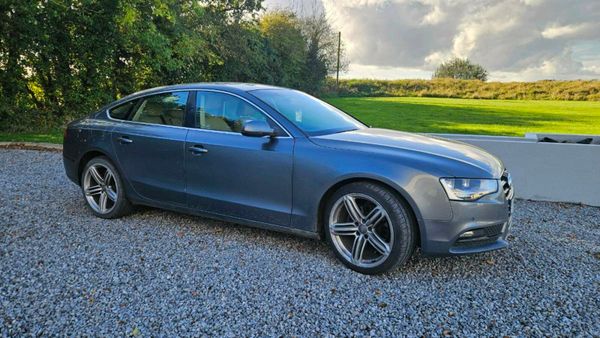 dashing stone | 5 All Sections Ads For Sale in Ireland | DoneDeal